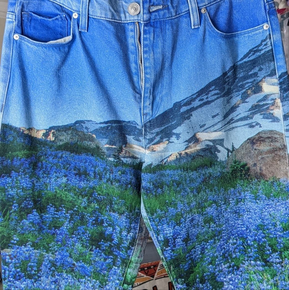 Hudson Jeans | Jeans | Nwt Hudson Los Angeles Mural Silkscreen Jeans ...